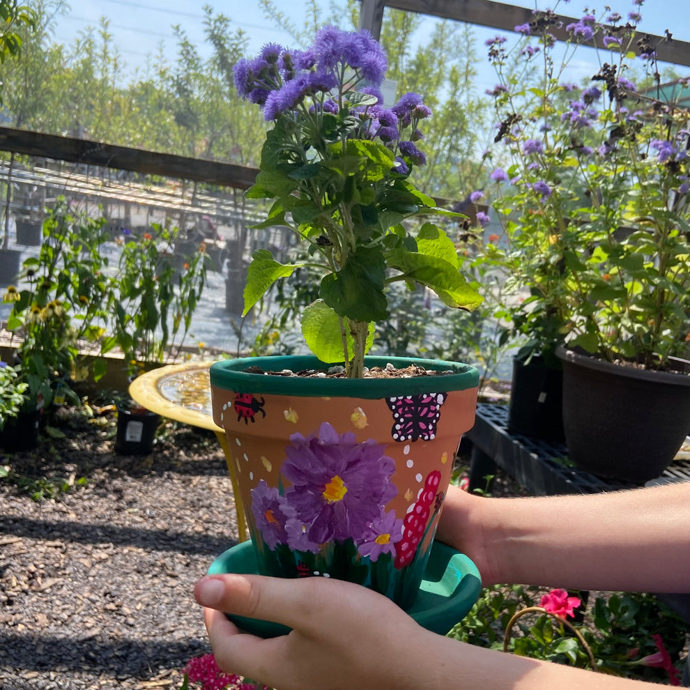 Pollinator Pot Painting Workshop – Fiddleheads Garden Center
