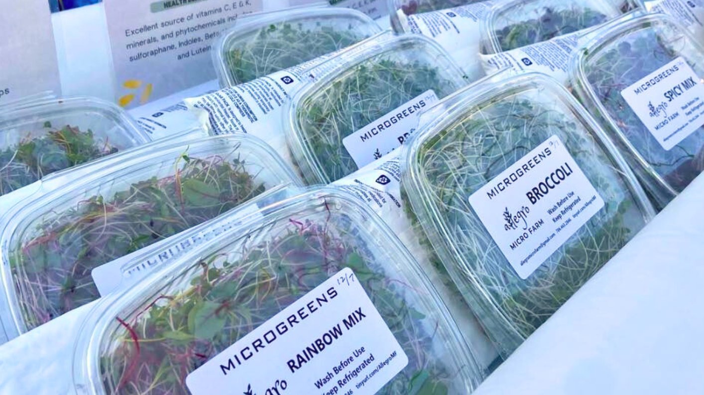 The Market at Fiddle Farms – Fiddleheads Garden Center