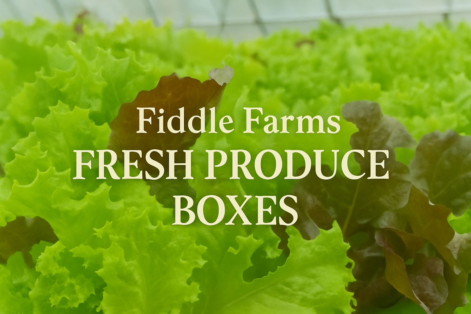 Produce Subscription Boxes – Fiddleheads Garden Center